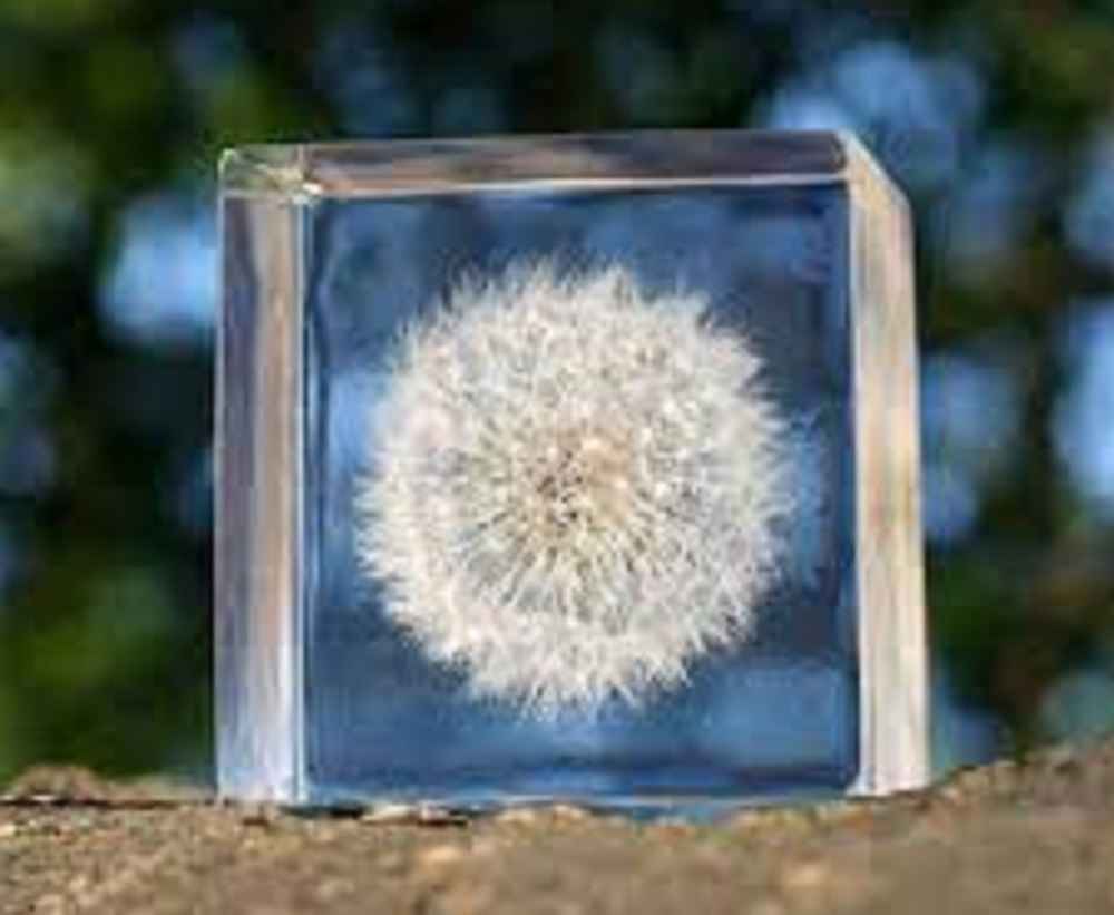 Where Can I Get Something Encased In Acrylic? | CraftersMag